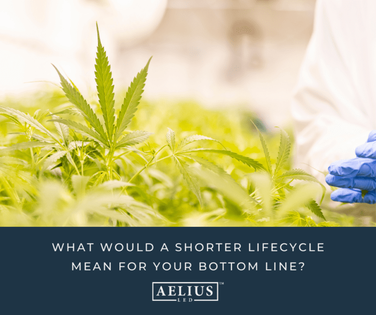 WHAT WOULD A SHORTER LIFE CYCLE MEAN FOR YOUR BOTTOM LINE? - Aelius LED