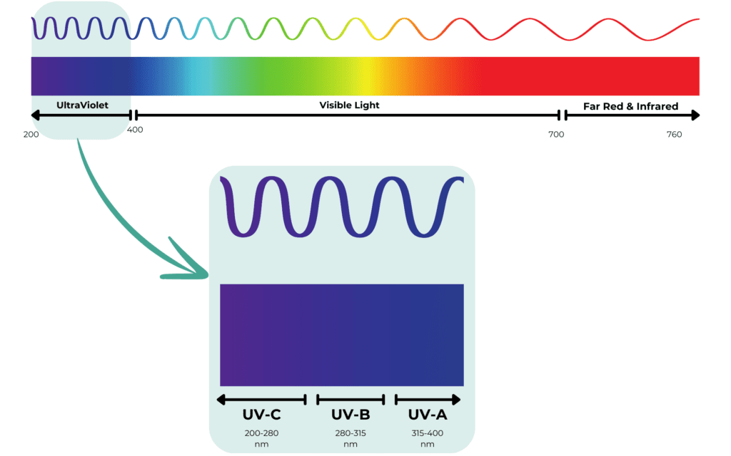 Exploring Effectiveness- Can UV Grow Lights Really Keep Pests And ...