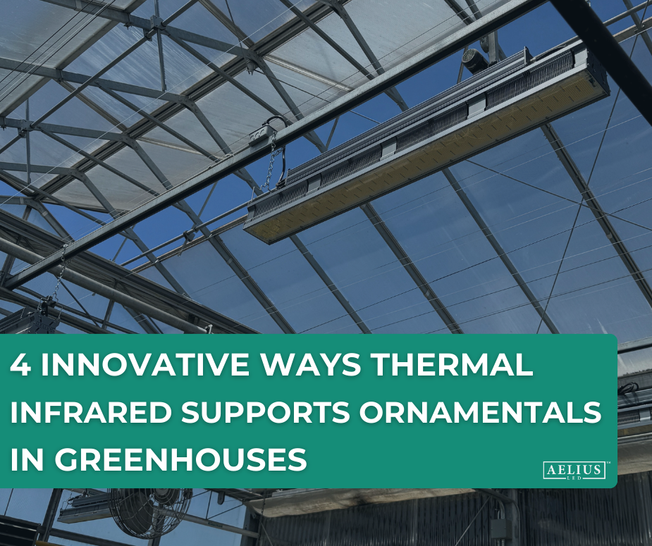 4 Innovative Ways Thermal Infrared Supports Ornamentals In Greenhouses